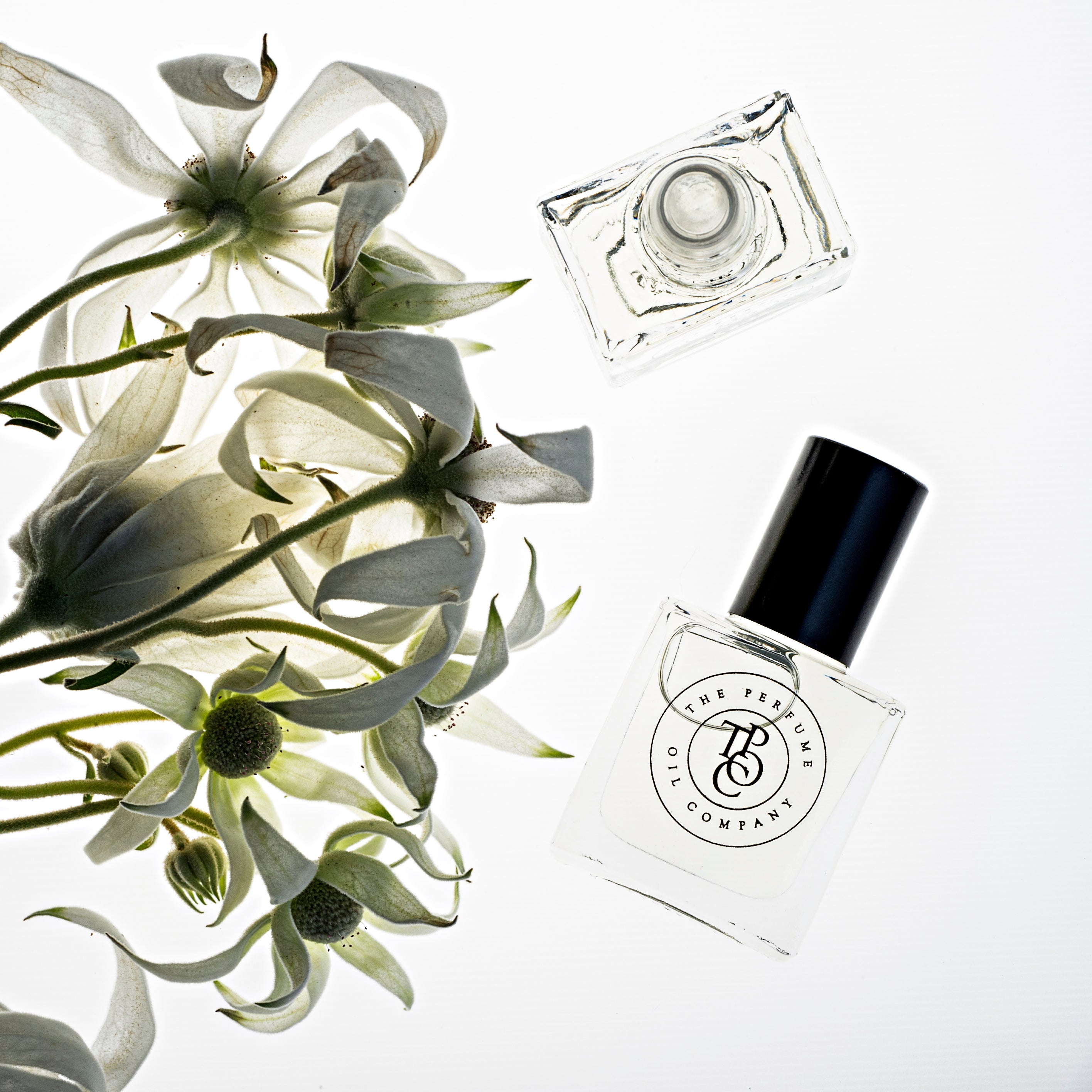 Natural vs Synthetic Ingredients in Perfume – The Perfume Oil Company